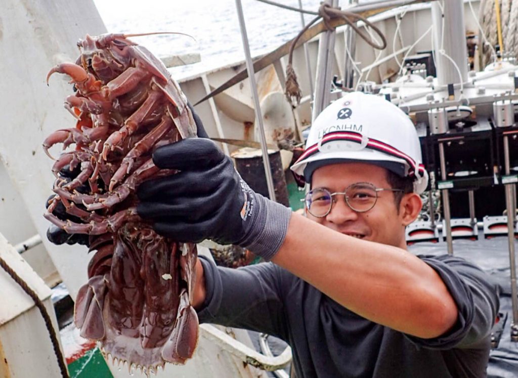 Gigantesco inseto marinho "Darth Vader" é descoberto nas águas da ...